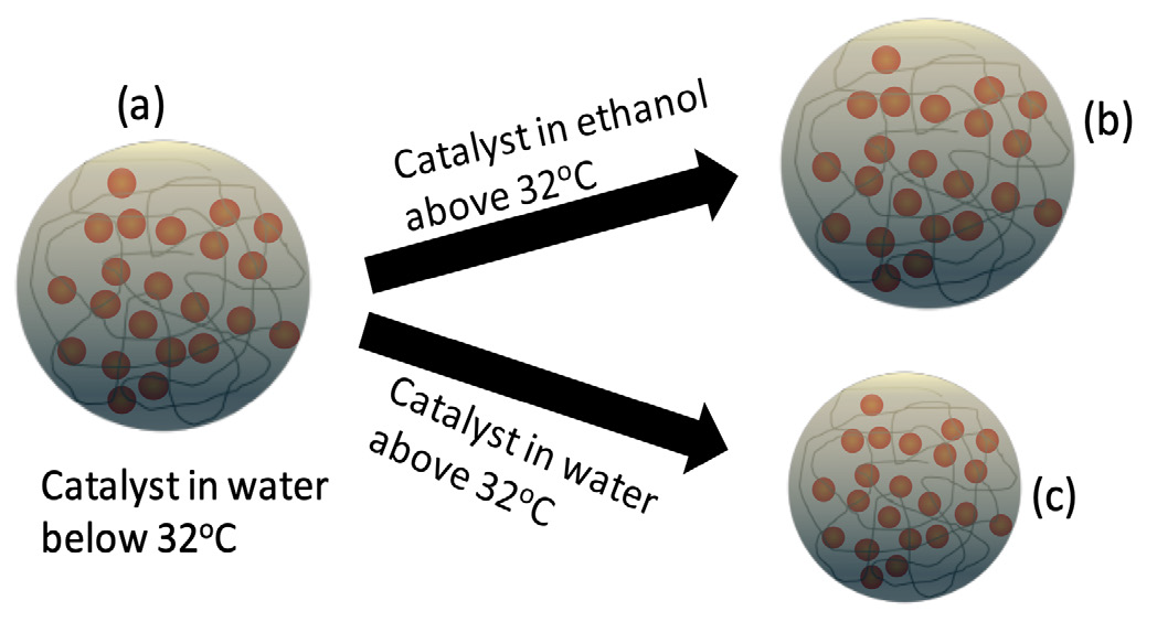 Making tiny gold particles to speed up chemical reactions – PubNavigator