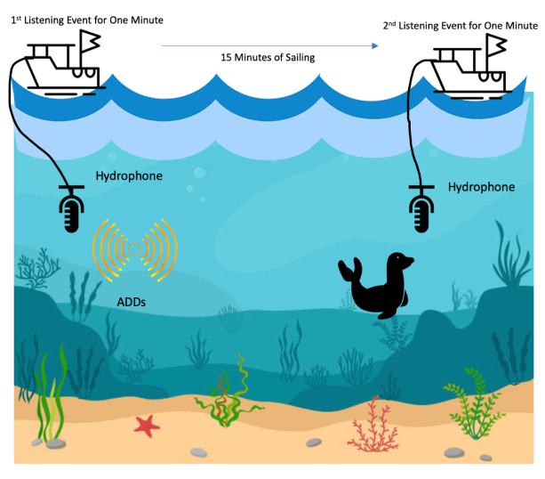 Sound “Waves”: How Acoustic Deterrent Devices Increase Sound in the ...