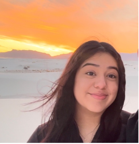 Sound “Waves”: How Acoustic Deterrent Devices Increase Sound in the ...