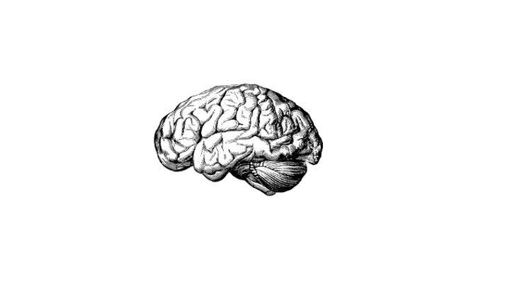 When Your Brain Rings the Dinner Bell: how active brain cells tell the ...